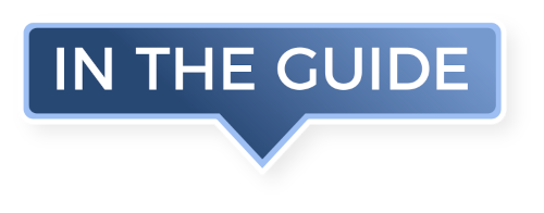 How to start a dog walking business